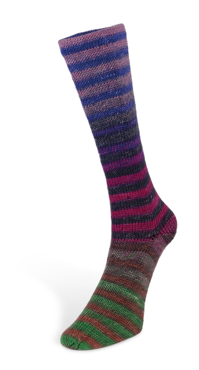 Laines du Nord Sock Line 6 ply Paint Socks 04